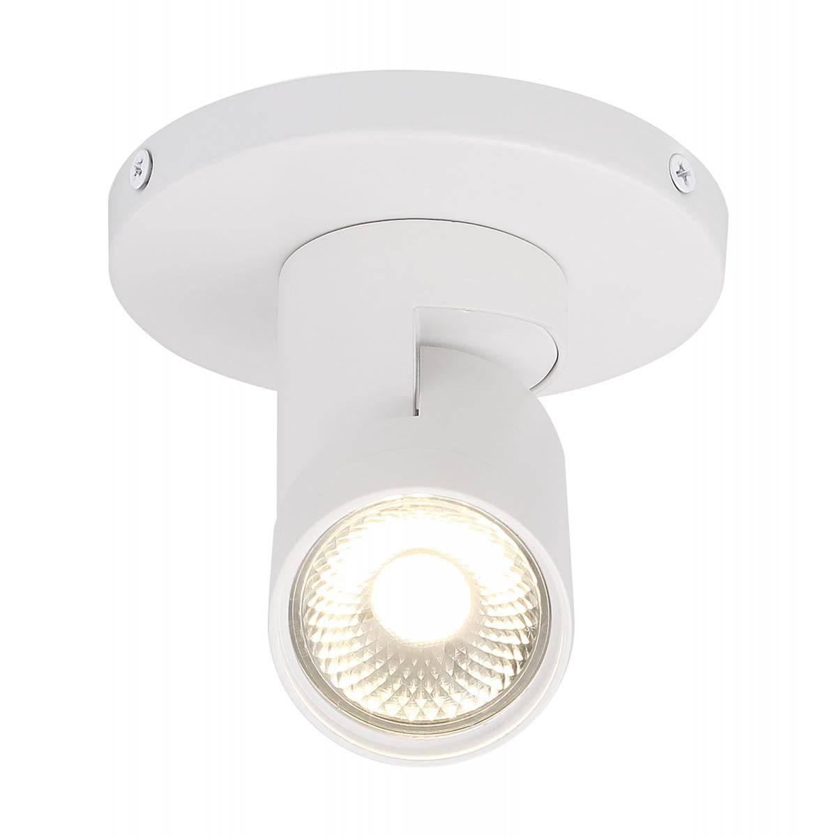 12 Watt; LED; White; Barrel; Monopoint; 3000K; 36 deg